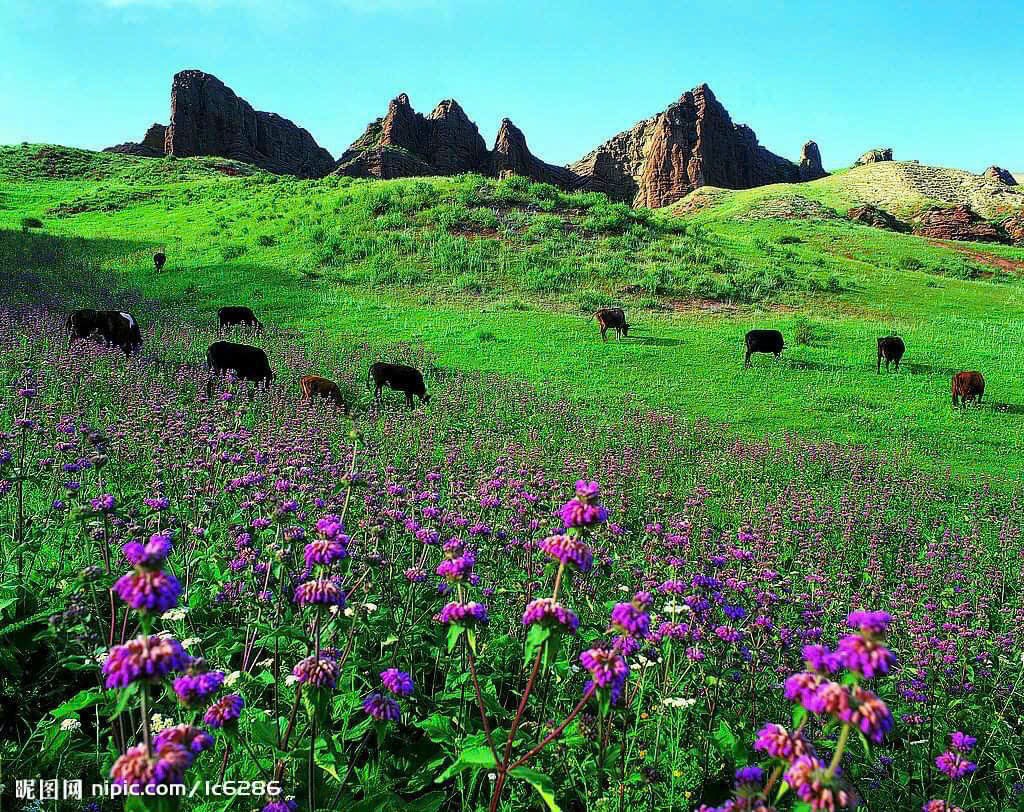 NHỮNG ĐỊA ĐIỂM DU LỊCH ĐẸP NHẤT TÂN CƯƠNG